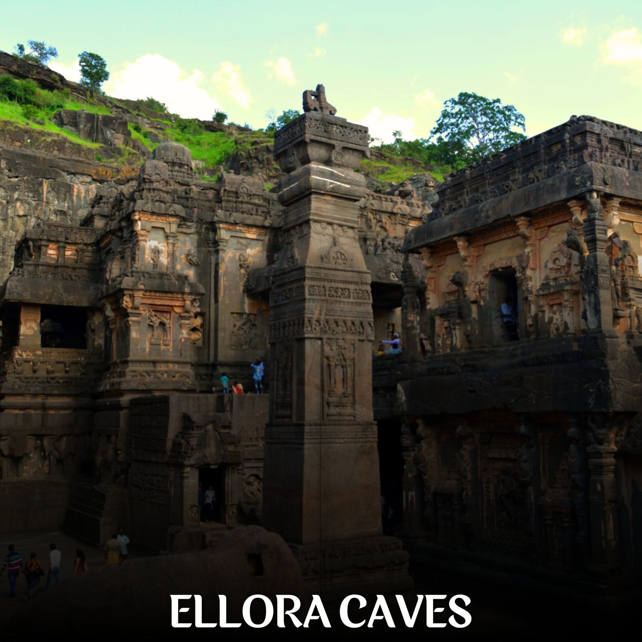 abhayanand.org – abhayanand.org